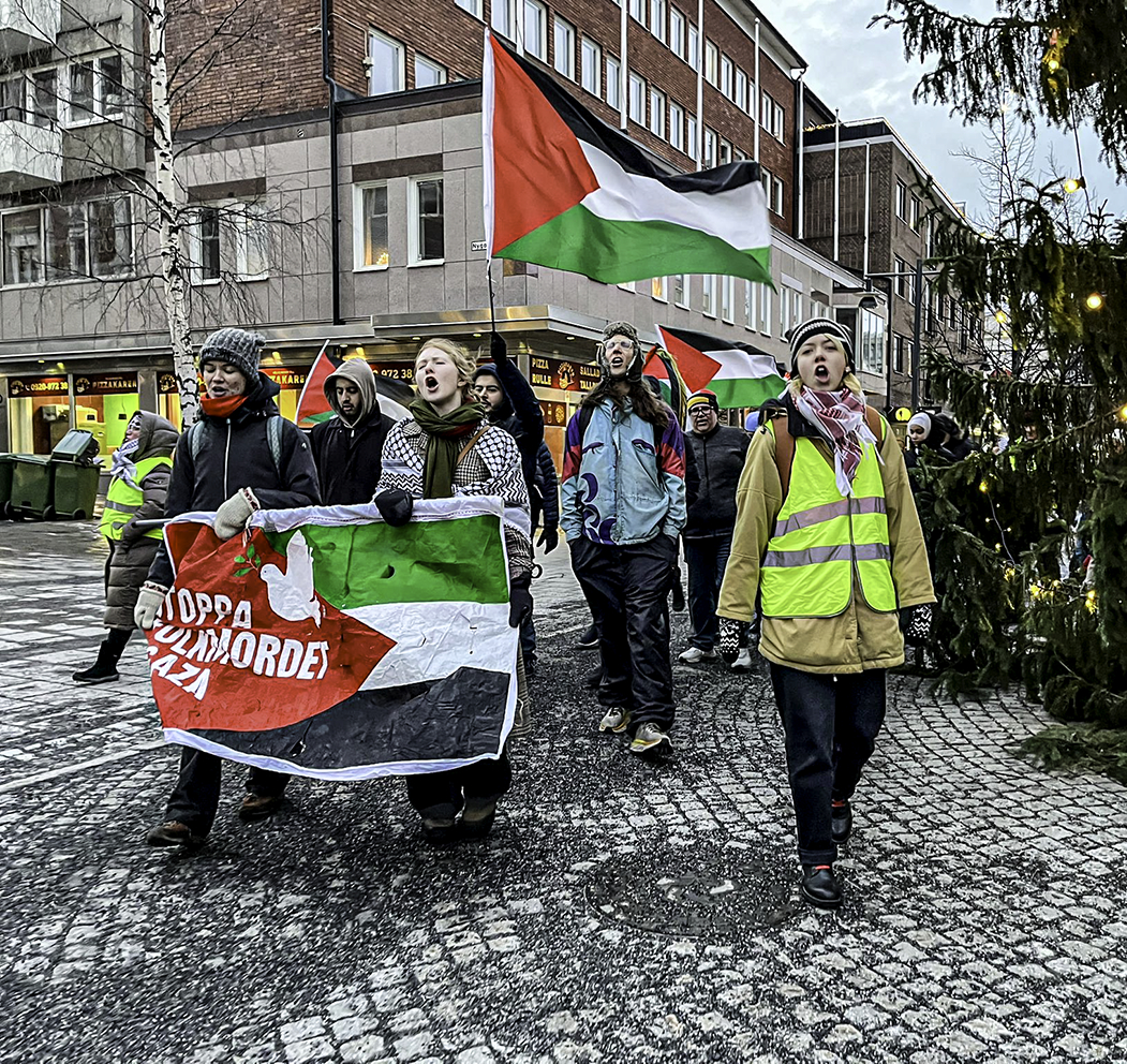 Luleå: Nytt nätverk, People not Profit - socialisterna.org